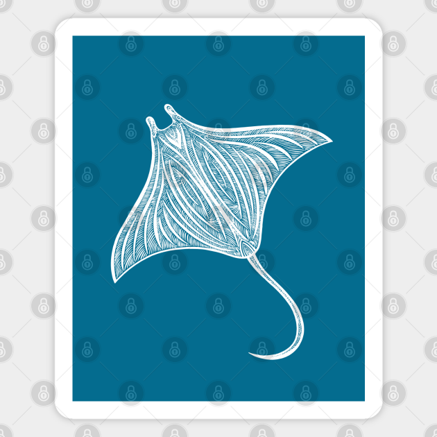 Manta Ray detailed drawing for sea animal lovers - Manta Ray - Magnet ...