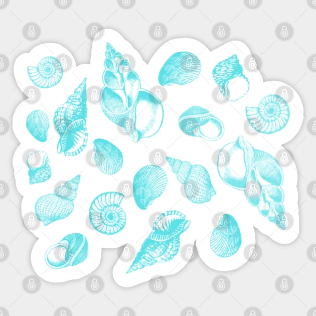 Blue shells - Sea - Sticker | TeePublic