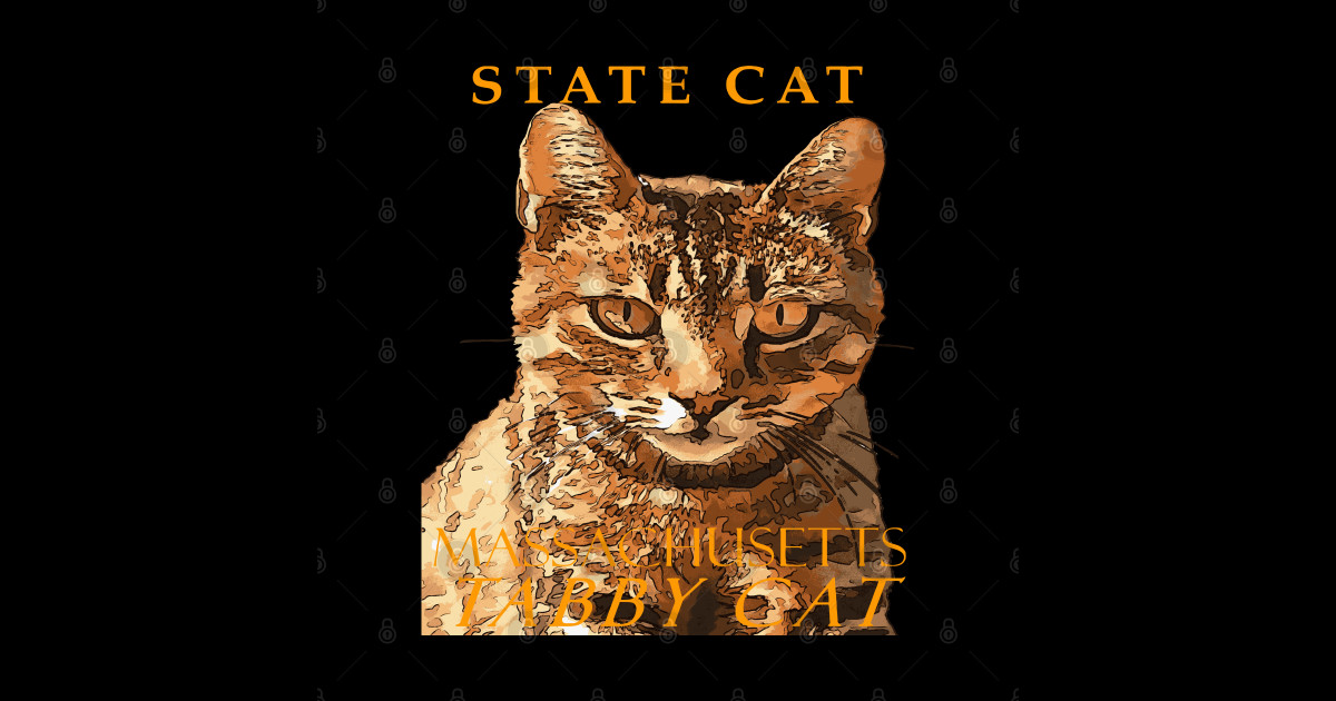 Massachusetts Territory Cat The Gorgeous Tabby Cat - State Cat ...