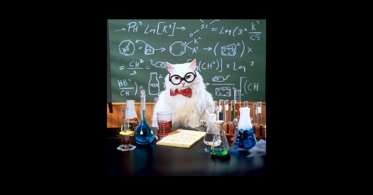 Science Cat Meme - Cat Memes - Sticker | TeePublic