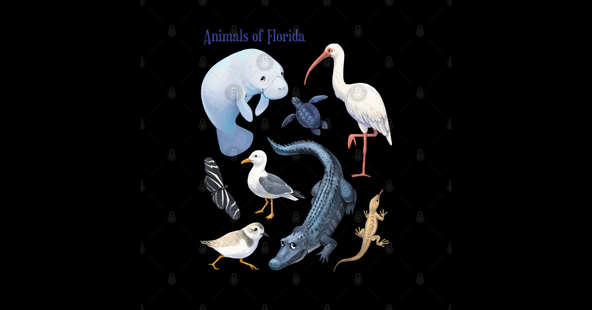 Animals of Florida - Florida Animals - Sticker | TeePublic
