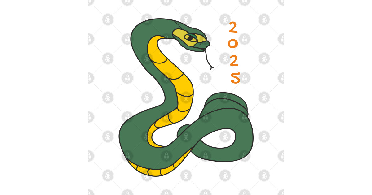 Python 2025 - Python - T-Shirt | TeePublic