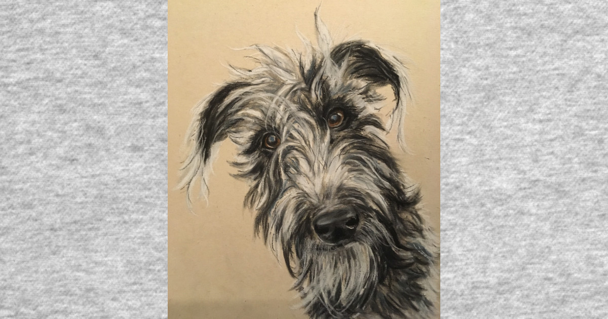 Scruffy Beddy/whippet Lurcher - Scruffy - T-Shirt | TeePublic