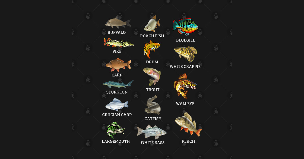 Types Of Freshwater Fish Species Chart Fisherman Angler Men - Fishing ...