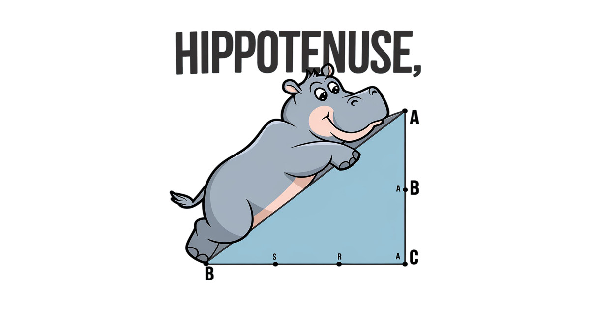 Mathematics Hippotenuse Maths Set of Pythagora's Geometry - Mathematics ...