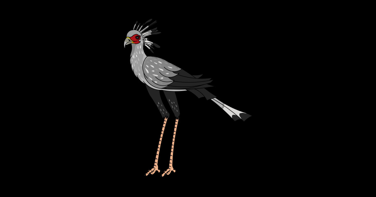 Secretary bird cartoon illustration - Secretary Bird Cartoon ...