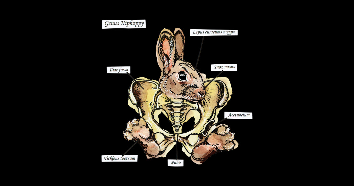 Genus Hiphoppy - Genus - Sticker | TeePublic