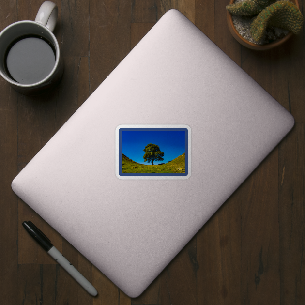 Sycamore Gap, in Memoriam - Sycamore Gap - Sticker | TeePublic