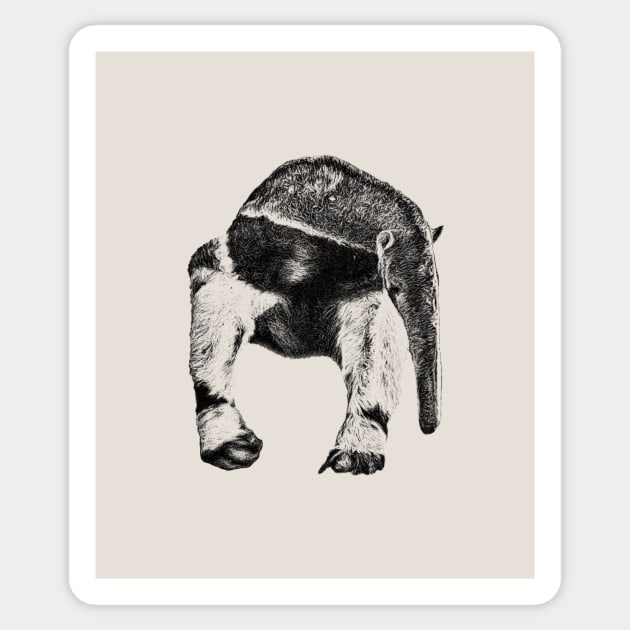 Giant anteater - Anteater - Sticker | TeePublic