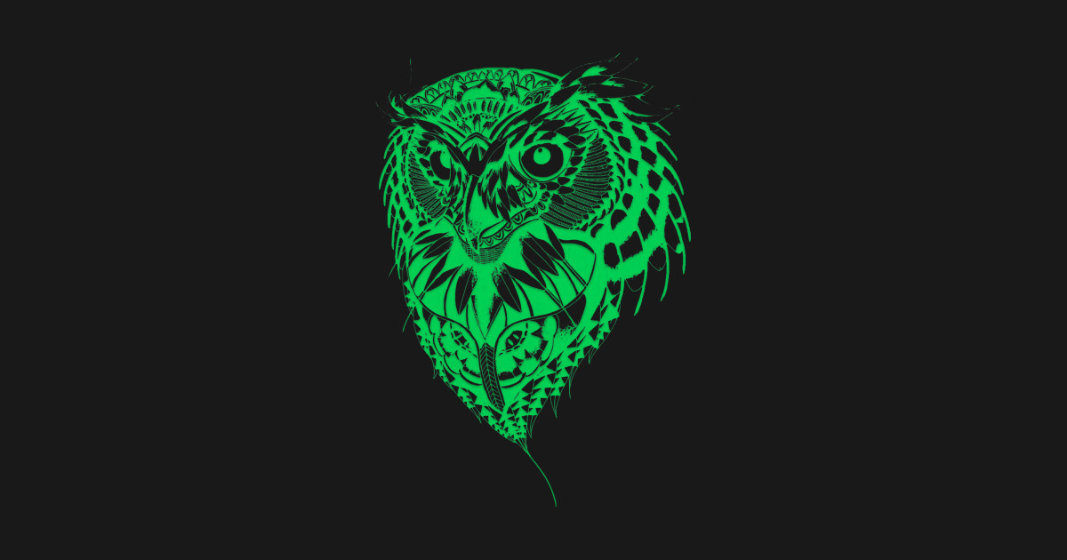 Cute Owl Owl Pet Wise Owl Native American Style Art - Native American ...