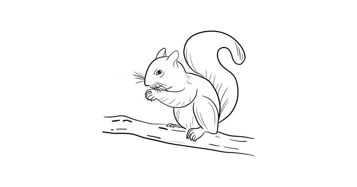 Stick figure Squirrel - Stick Figure Squirrel - T-Shirt | TeePublic