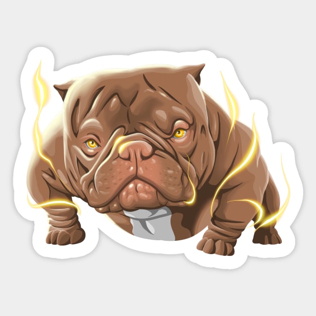 American Bully exotic chocolate drawing - American Bully - Sticker ...