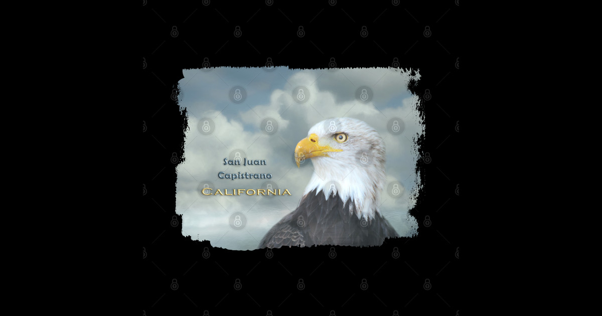Bald Eagle San Juan Capistrano - San Juan Capistrano - Sticker | TeePublic