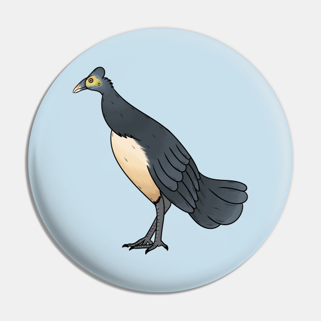 Maleo bird cartoon illustration - Maleo Bird Cartoon Illustration - Pin ...
