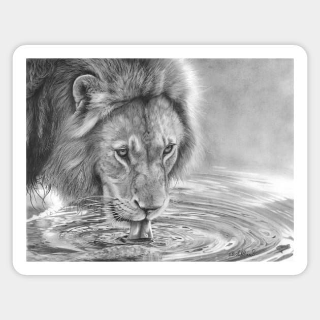Lapping It Up - Lion - Sticker | TeePublic