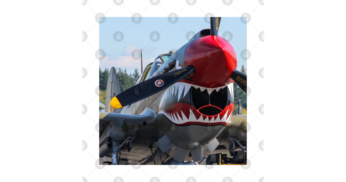 P-40E Shark-Mouth close-up - P 40 Warhawk - T-Shirt | TeePublic