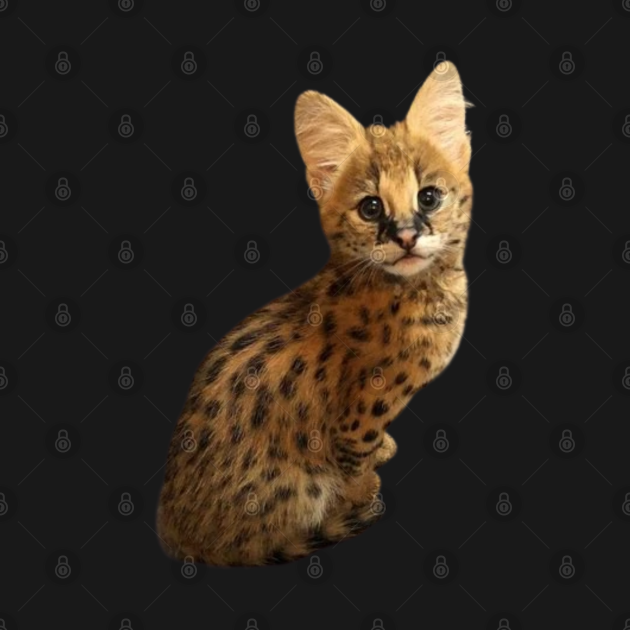 Sogga My Beloved Serval Meme Cat Meme - Sogga My Beloved - Long Sleeve ...