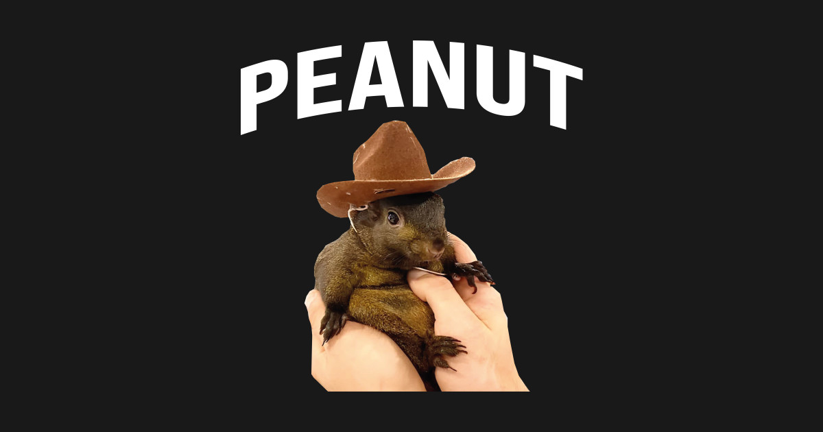 rip peanut cute squirrel - Rip Peanut Cute Squirrel - T-Shirt | TeePublic