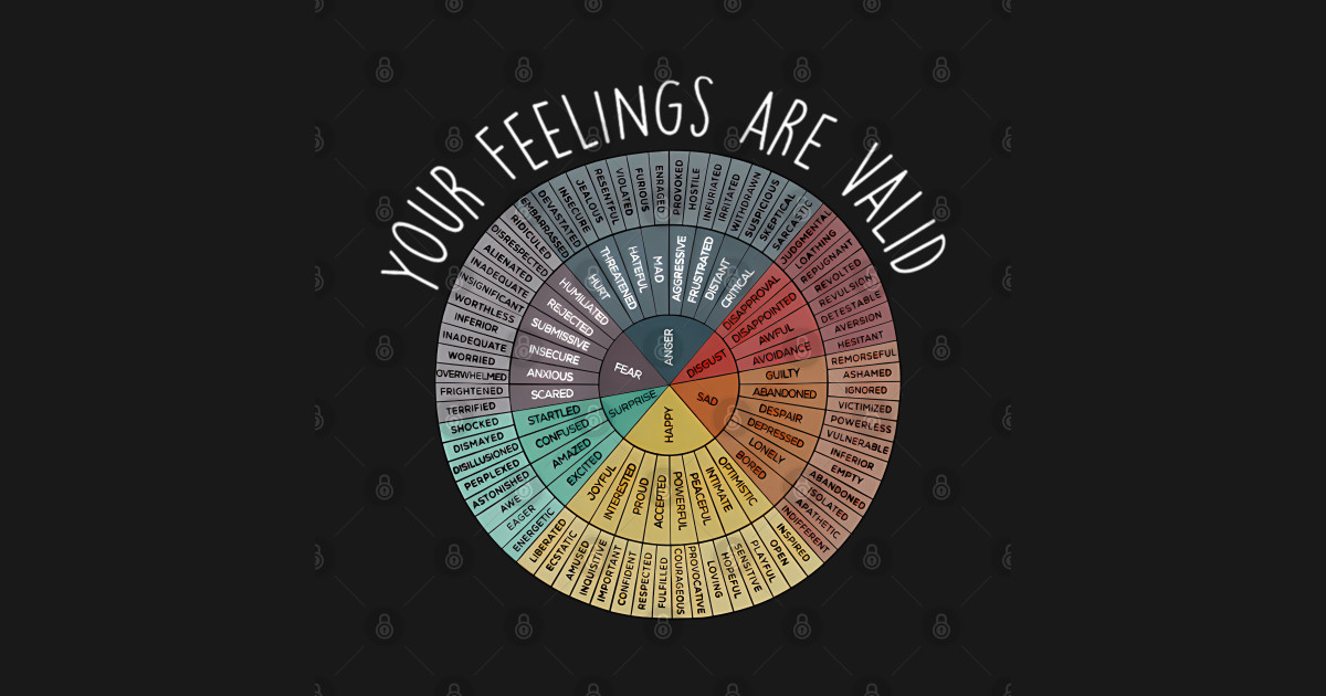 Your Feelings Are Valid Wheel Of Emotions Throw - Emotional Awareness ...