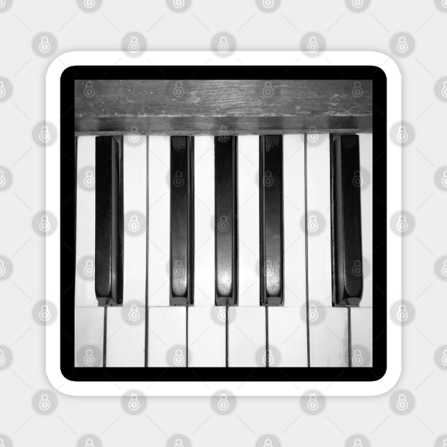Black and White Piano Keys Photo - Piano Keys - Magnet | TeePublic