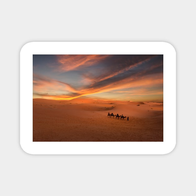 Camel caravan in Sahara desert at sunset - Adventure - Magnet | TeePublic