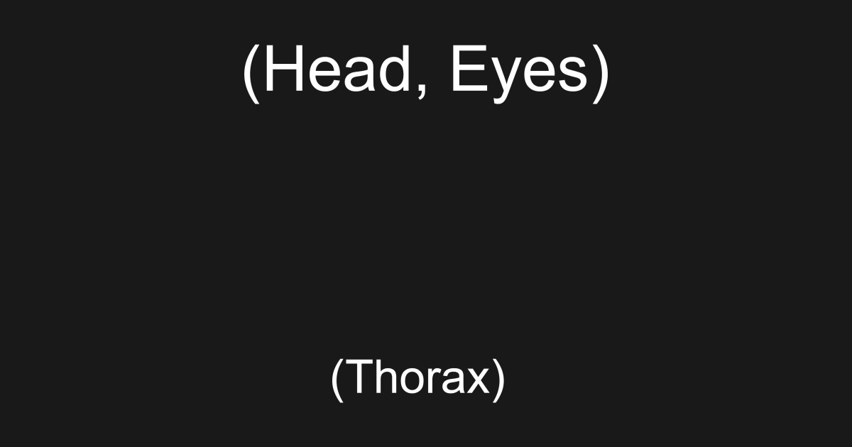 Tarkov face mask. Head Eyes - Escape - T-Shirt | TeePublic