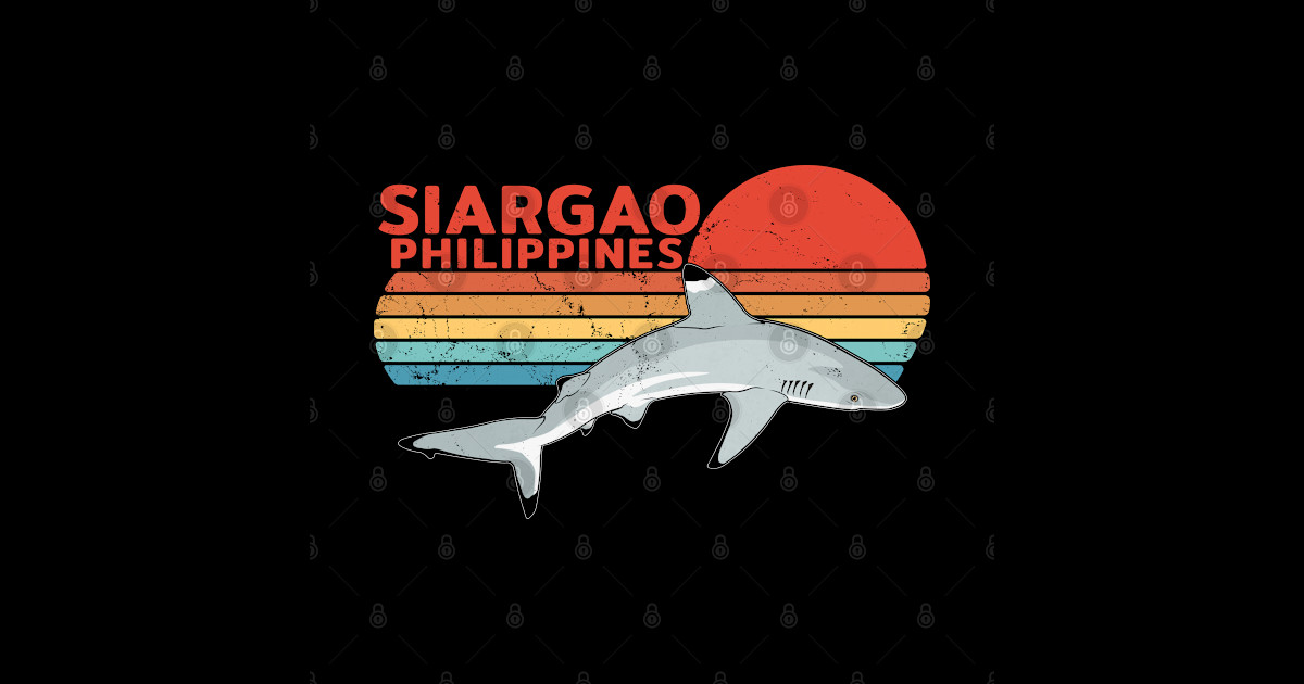 Blacktip Reef Shark Philippines Siargao Island - Blacktip Reef Shark ...