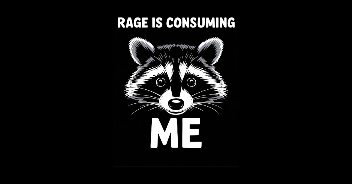 Rage Is Consuming Me Silly Staring Raccoon Meme - Raccoon Lovers ...