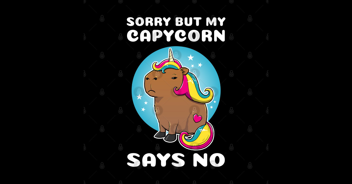 Sorry but my capycorn says no Cartoon Capybara Unicorn - Funny Capybara ...