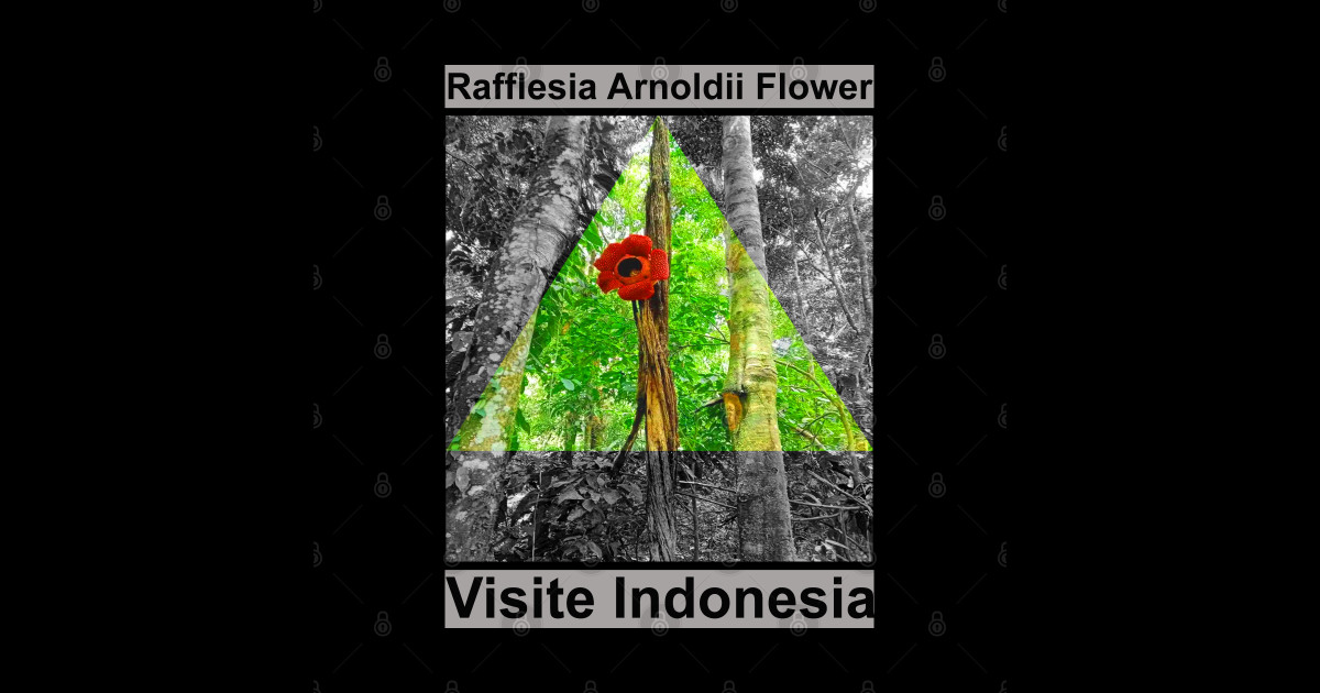 Rafflesia Arnoldii Flower, Visite Indonesia - Flower - Sticker | TeePublic