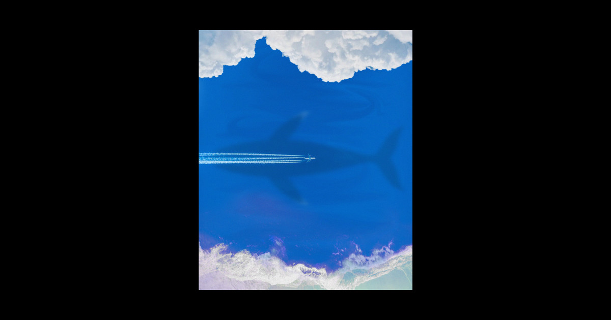 Airplane, whale, sky and ocean - Airplane Sky - Sticker | TeePublic
