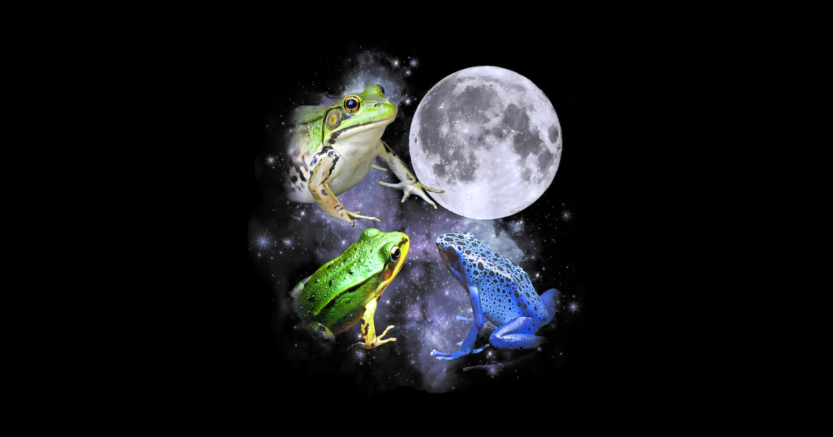 Three Frogs Moon Vintage Graphic Weird Cursed Meme - Three Frogs Moon ...