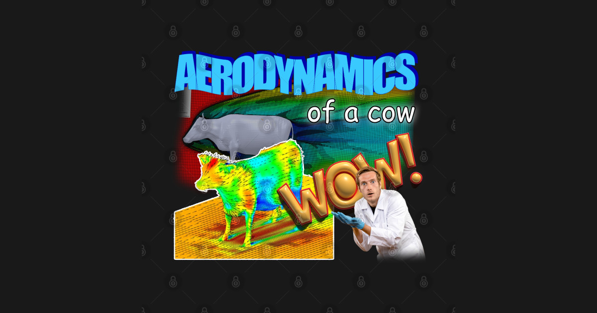Aerodynamics Of A Cow Physics Meme - Aerodynamics - T-Shirt | TeePublic
