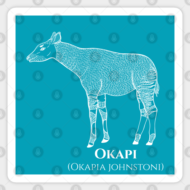 Okapi with Common and Scientific Names - zebra giraffe drawing - Okapi ...