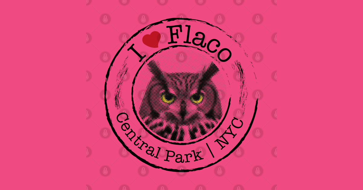 I love Flaco the Owl - Flaco - T-Shirt | TeePublic