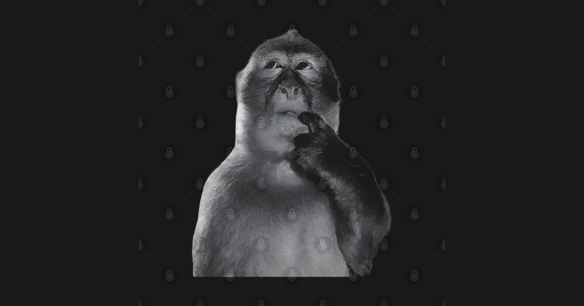 Thinking Monkey Meme - Stoic Ape Portrait - Thinking Monkey - T-Shirt ...