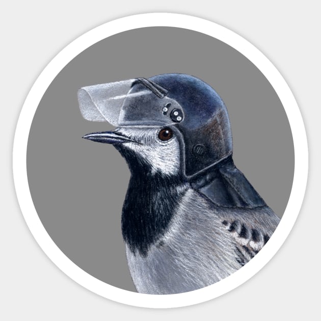 White wagtail - Birds In Hats - Sticker | TeePublic