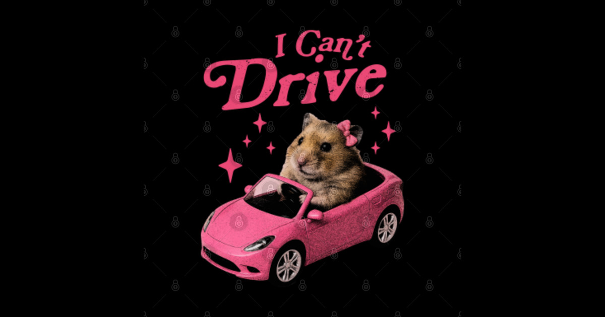 I Cant Drive Funny Hamster Meme Shirt, Popular Meme Shirt, Viral Meme ...