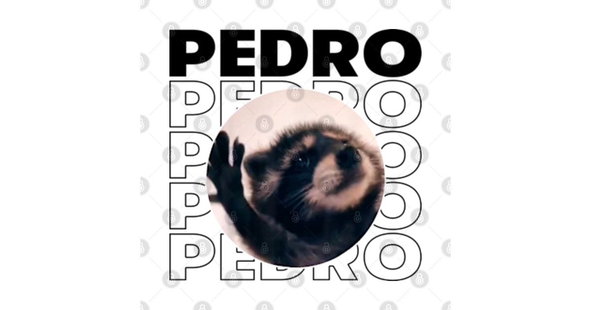 Pedro Raccoon - Pedro Raccoon - T-Shirt | TeePublic