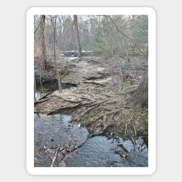 3 Levels of Water - Water - Sticker | TeePublic