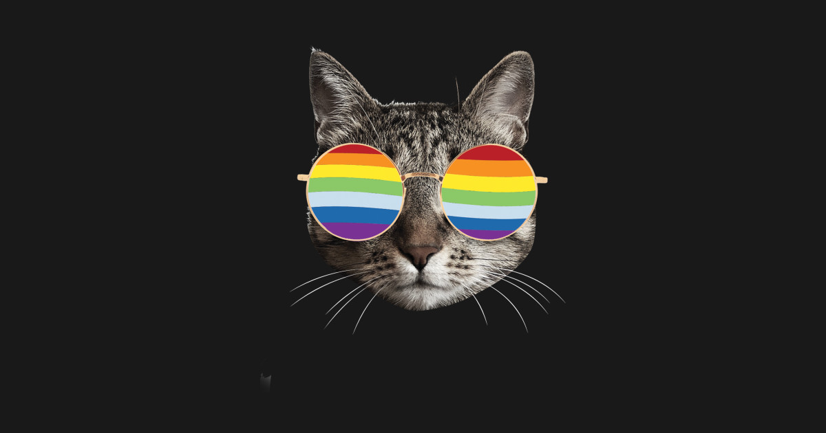Cute Cat Kitten Wearing Lgbt Sunglass Lgbt T Shirt Teepublic