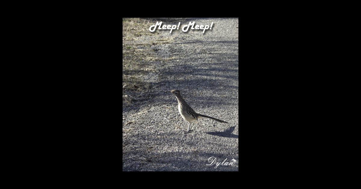 Meep! Meep! - Roadrunner - Sticker | TeePublic