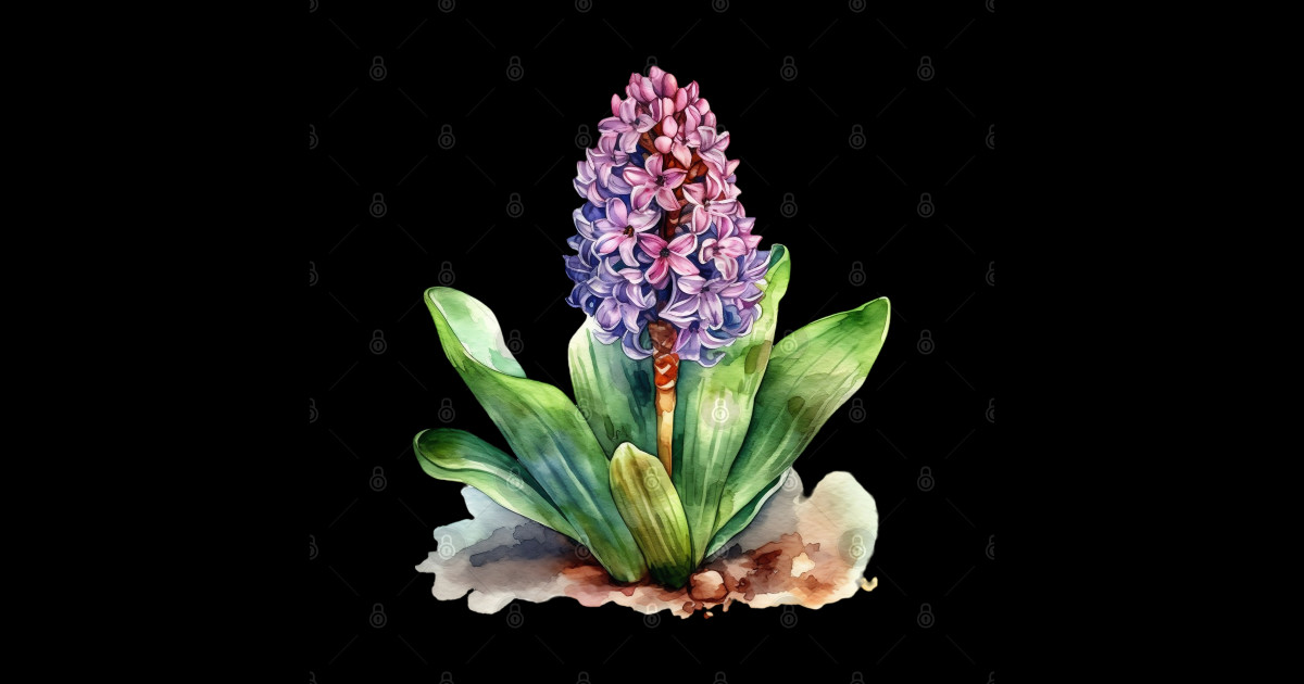 Stunning Hyacinth - Hyacinth - Sticker | TeePublic