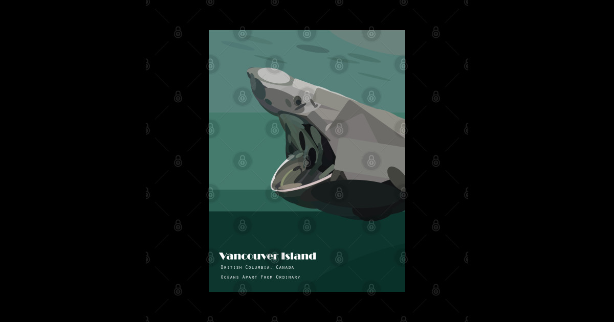 8ts Basking Shark - Basking Shark Vancouver Island - Sticker | TeePublic