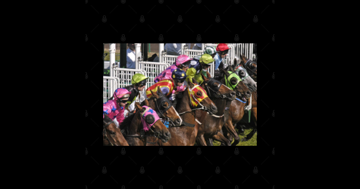 Racing!! - Horse - Sticker | TeePublic