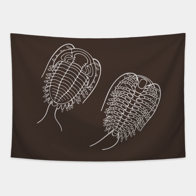 White Line Drawing of Phacopid Trilobite - Trilobite - Tapestry | TeePublic