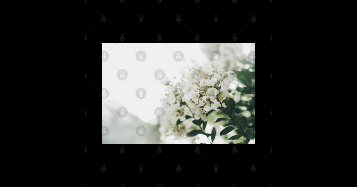 White Flowers - Bloom - Sticker | TeePublic