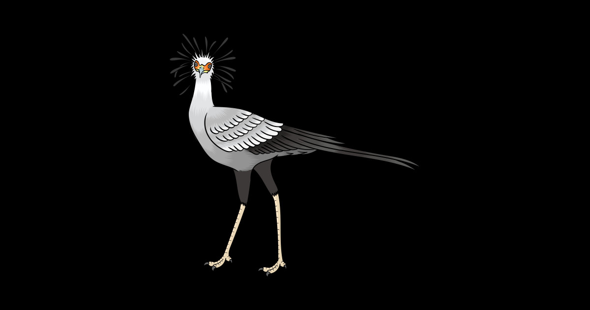Secretary bird cartoon illustration - Secretary Bird Cartoon ...