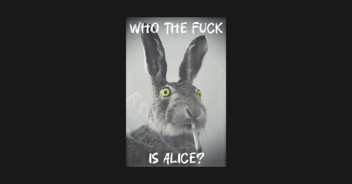 Who The Fck Is Alice - Alice - T-Shirt | TeePublic
