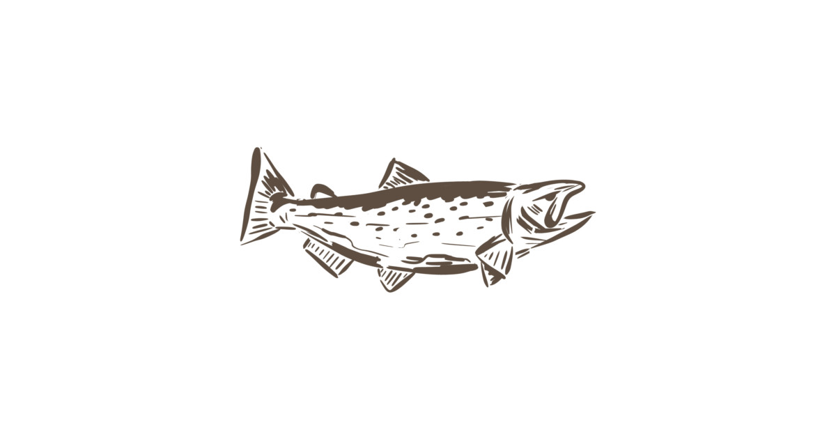 King salmon - Fishing - T-Shirt | TeePublic